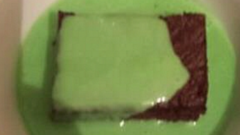 Mint Custard - Feed Your Family for £20 a week
